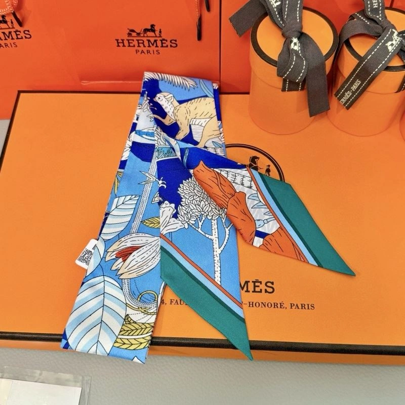 Economical Hermes Silk