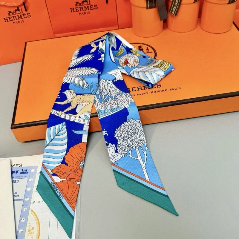 Economical Hermes Silk
