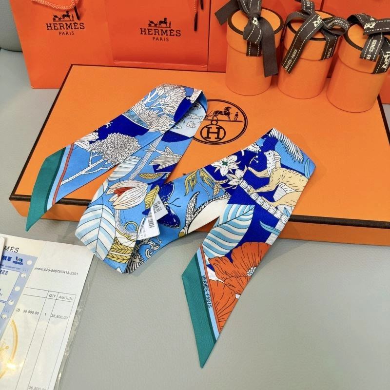 Economical Hermes Silk