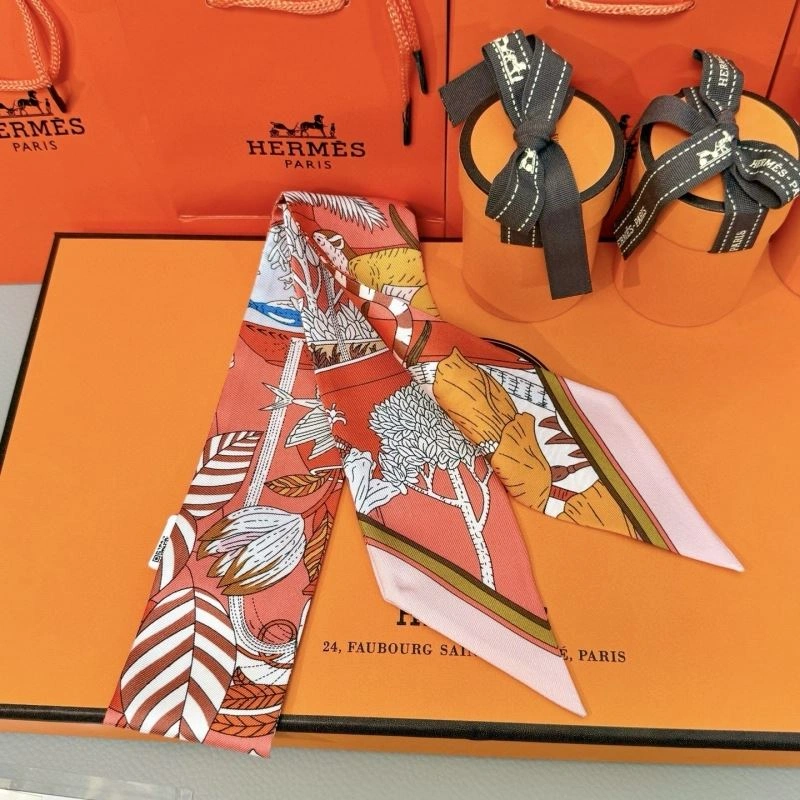 Budget-friendly Hermes Silk
