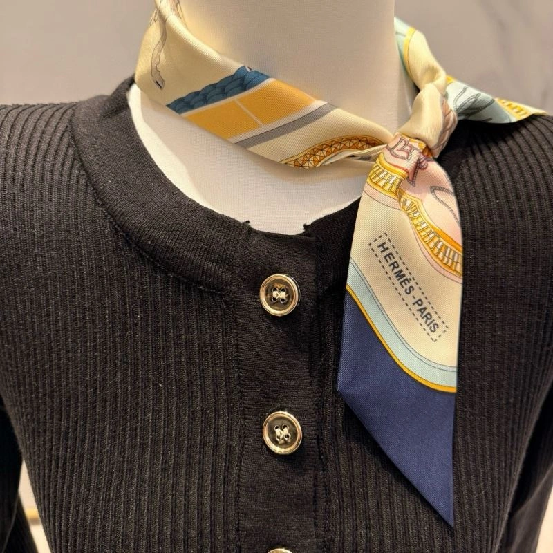 Hermes Silk