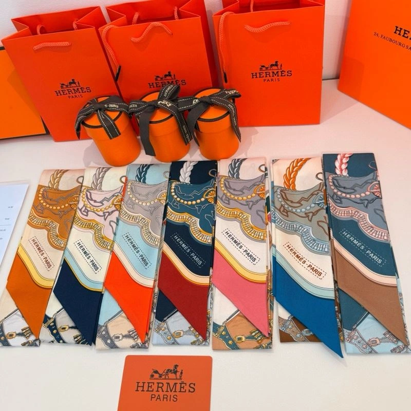 Indistinguishable Hermes Silk