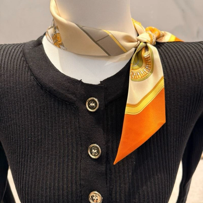 Hermes Silk