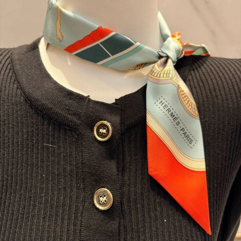 Reasonably priced Hermes Silk