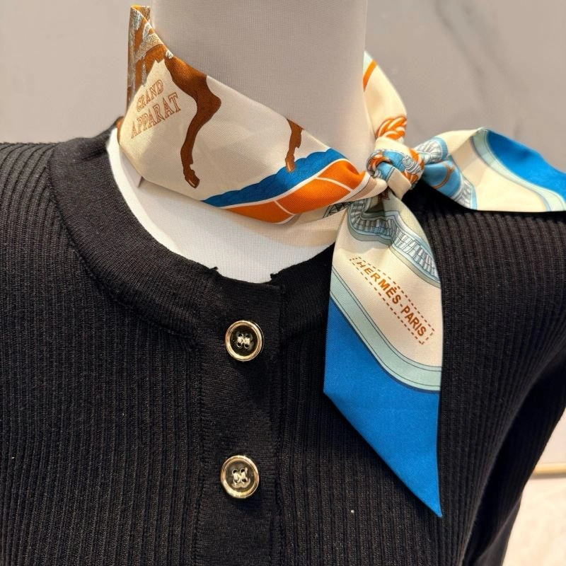 Hermes Silk
