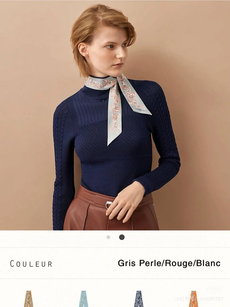 Hermes Silk