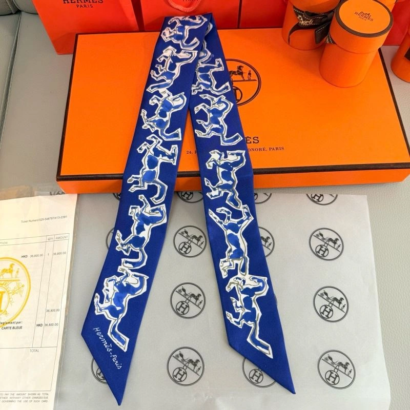 Inexpensive Hermes Silk