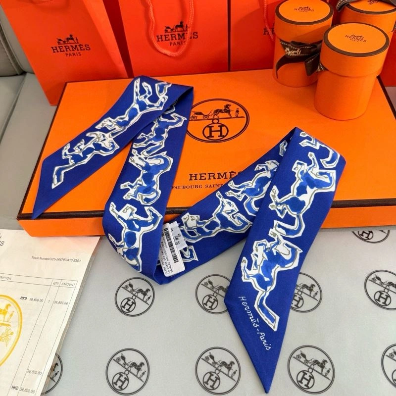 Inexpensive Hermes Silk