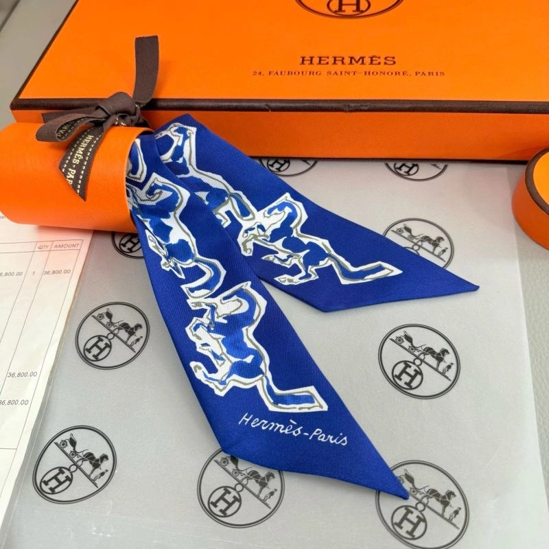 Inexpensive Hermes Silk