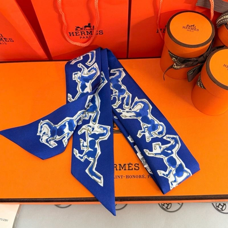 Inexpensive Hermes Silk