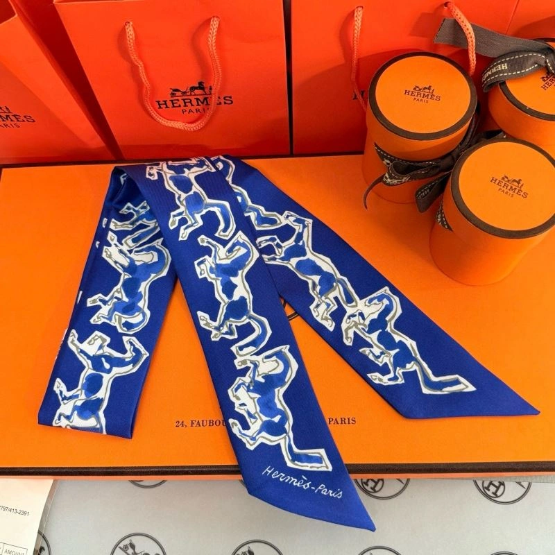 Inexpensive Hermes Silk