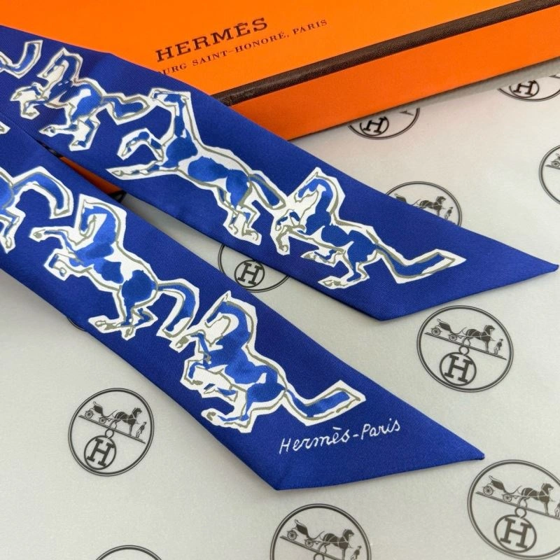 Inexpensive Hermes Silk