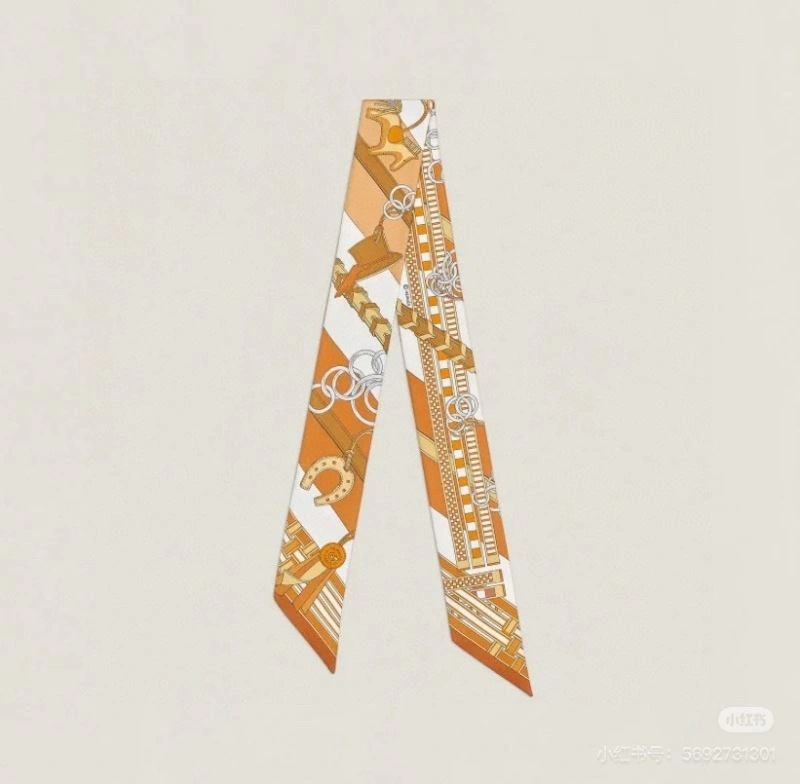 Hermes Silk