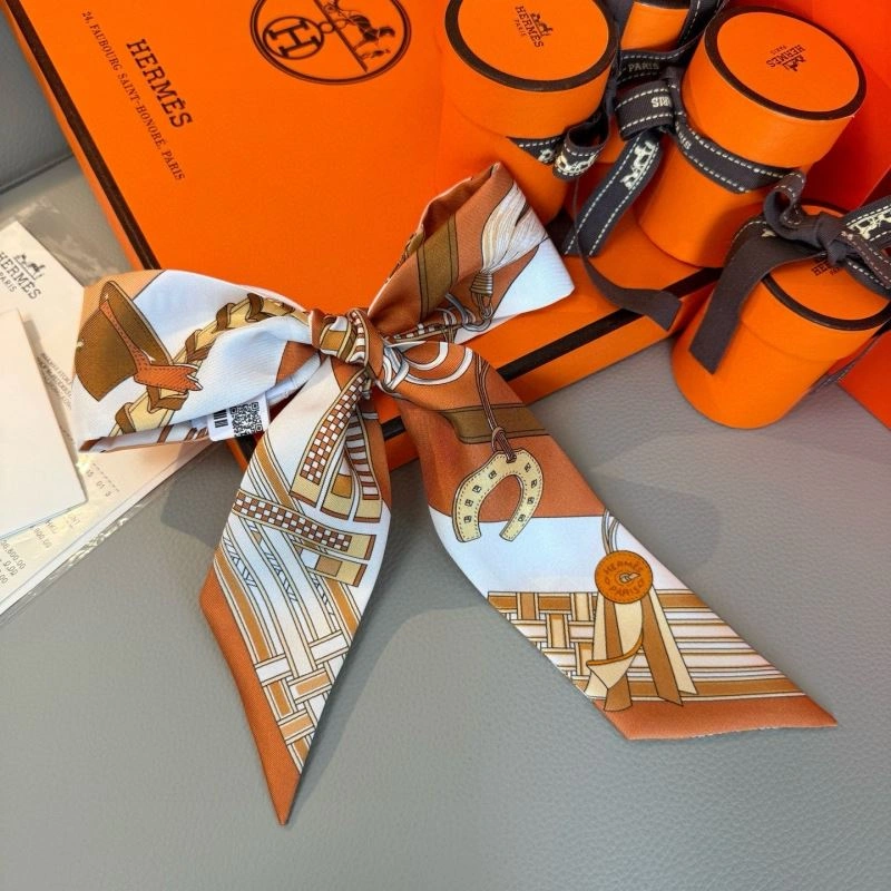 Reasonably priced Hermes Silk
