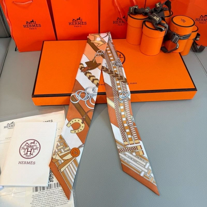 Reasonably priced Hermes Silk