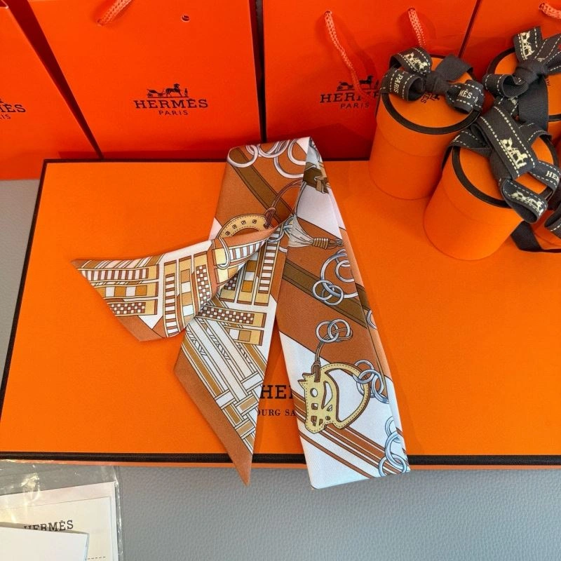 Reasonably priced Hermes Silk