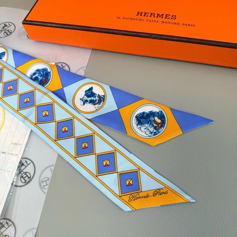 Cut-rate Hermes Silk