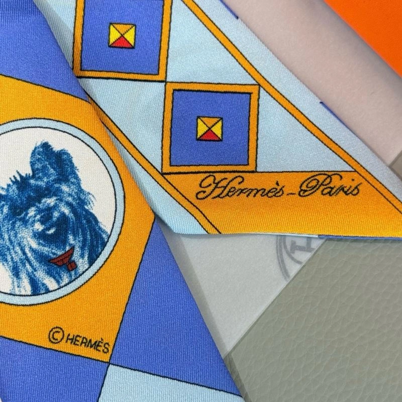 Cut-rate Hermes Silk