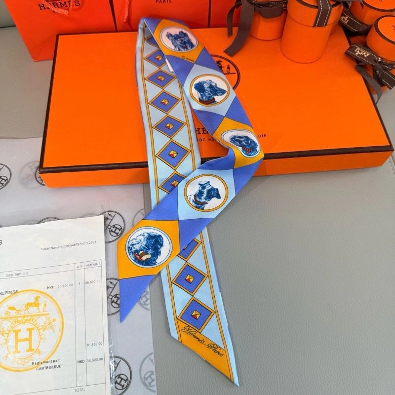 Cut-rate Hermes Silk