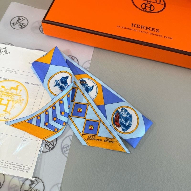 Cut-rate Hermes Silk