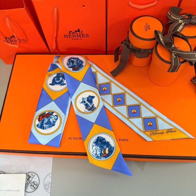 Cut-rate Hermes Silk