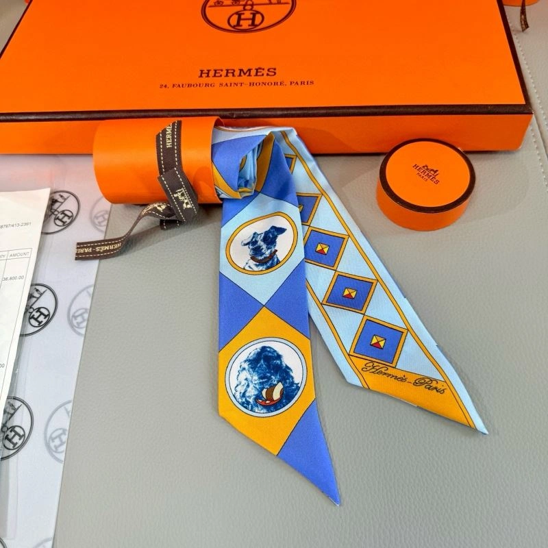Cut-rate Hermes Silk