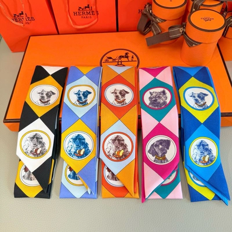 Economical Hermes Silk