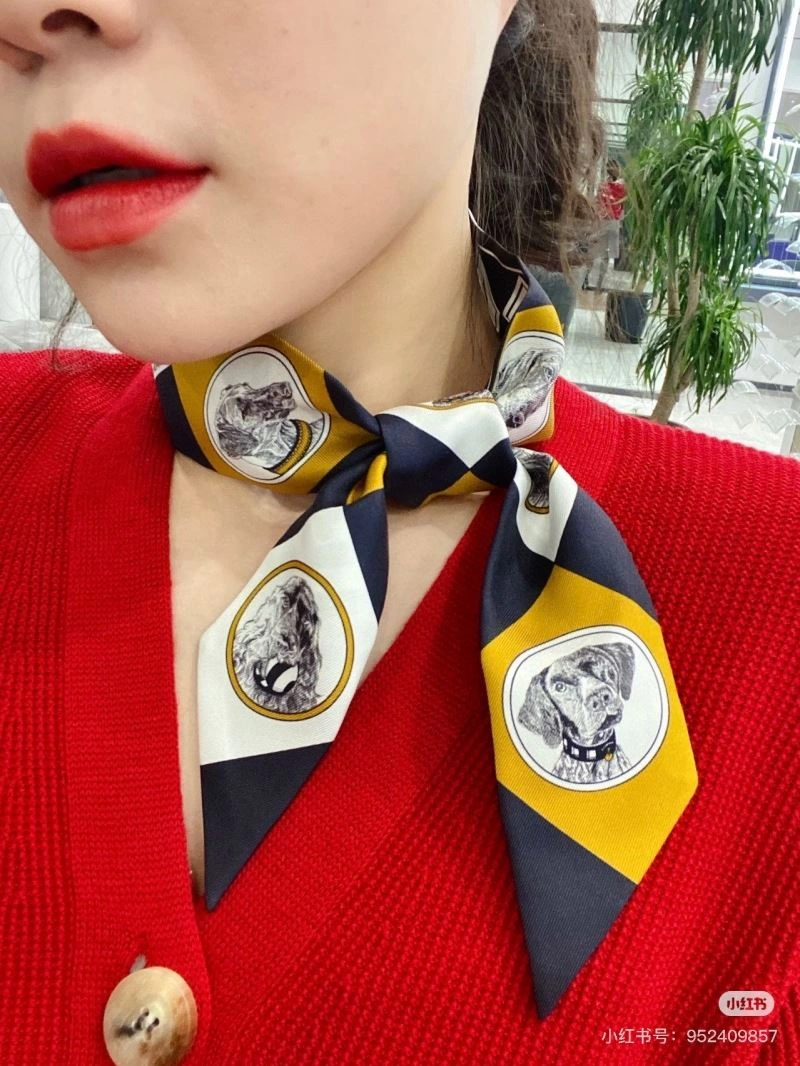 Hermes Silk