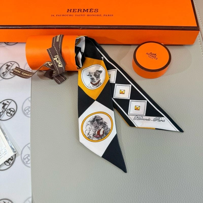 Inexpensive Hermes Silk