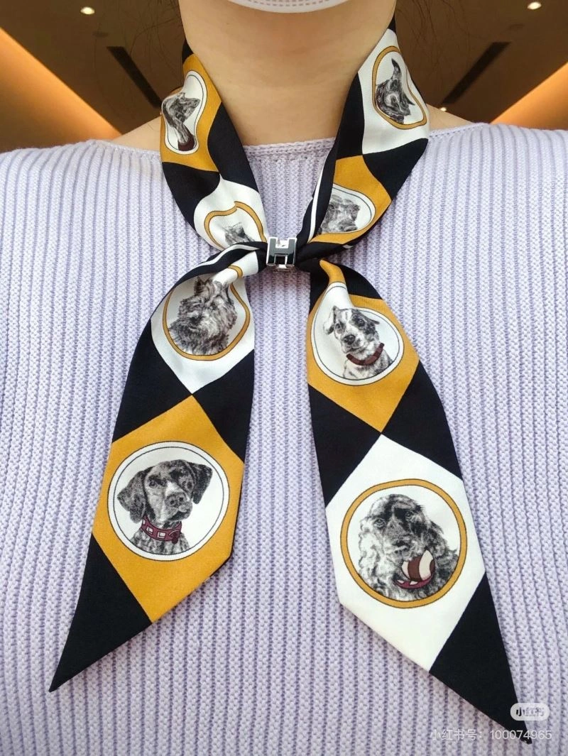 Inexpensive Hermes Silk