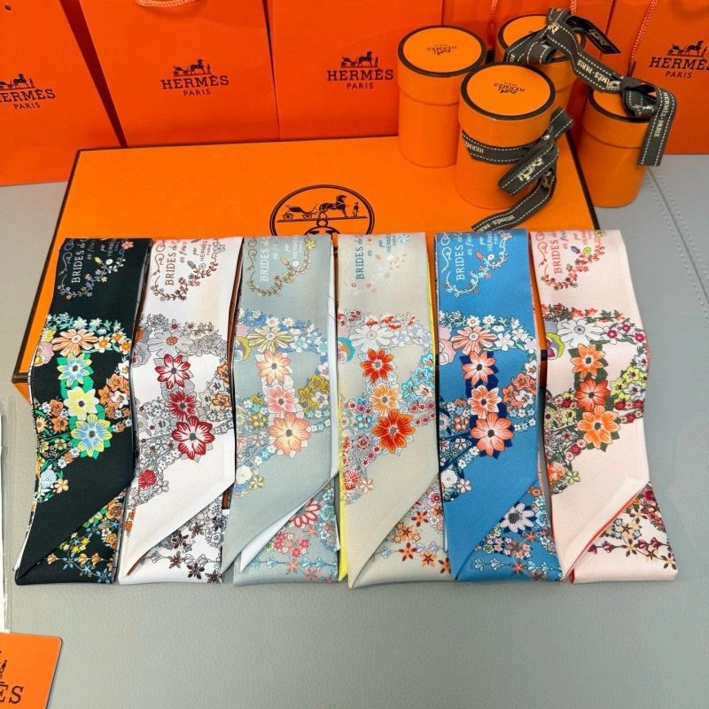 Indistinguishable Hermes Silk