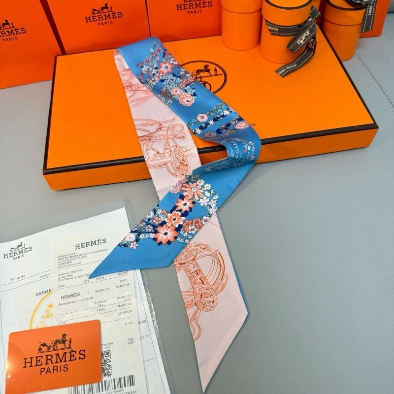 Indistinguishable Hermes Silk