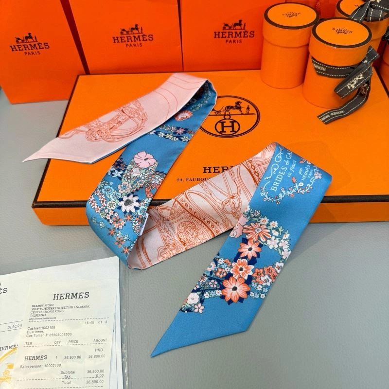 Indistinguishable Hermes Silk