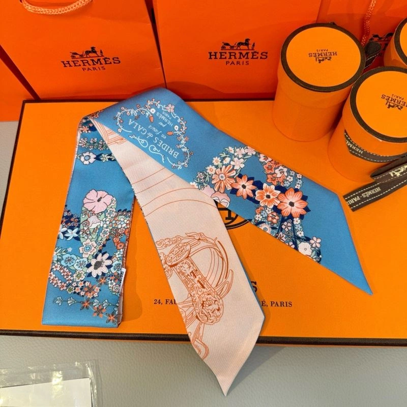 Indistinguishable Hermes Silk