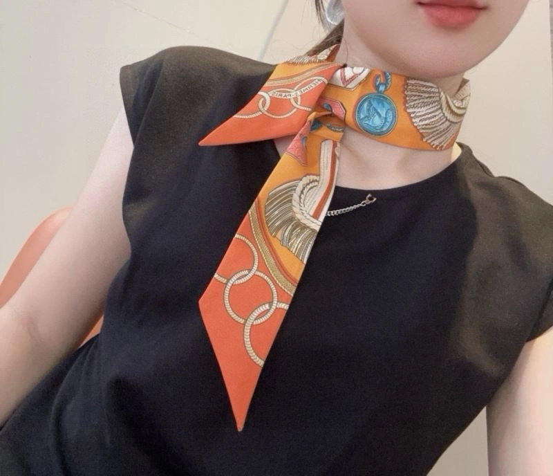 Hermes Silk