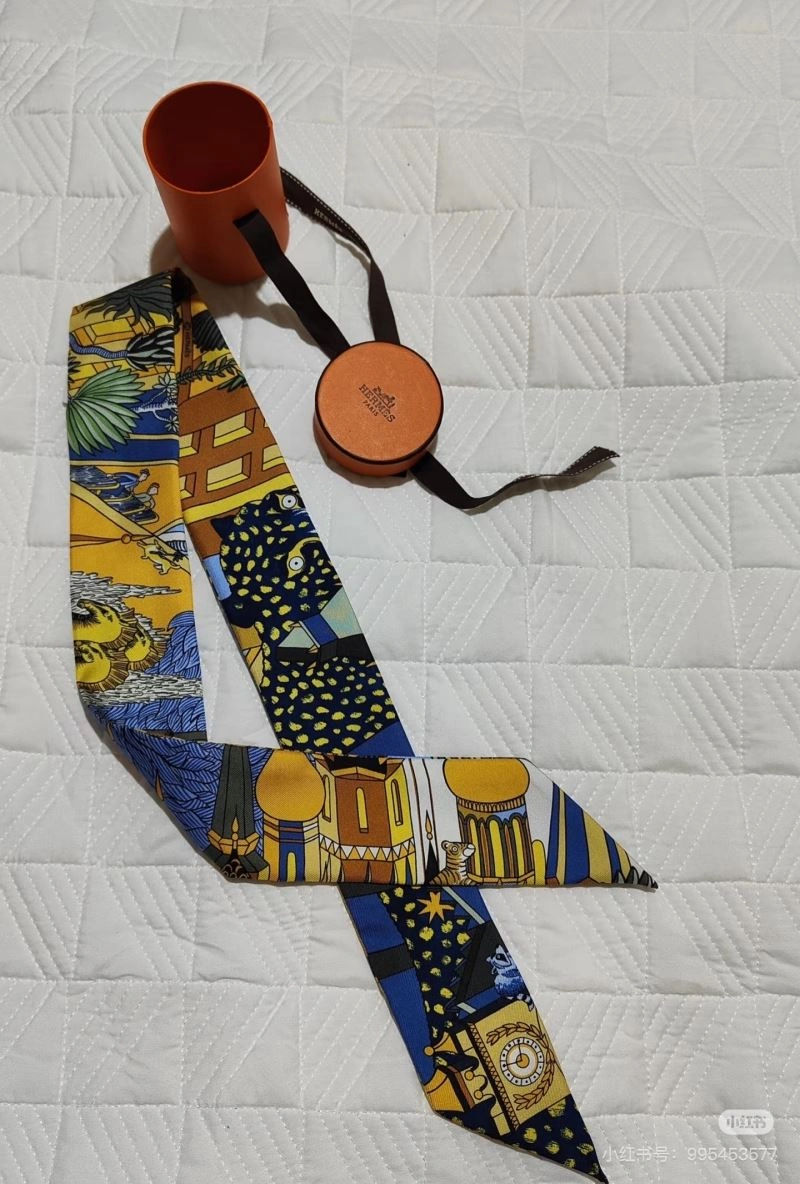 Hermes Silk