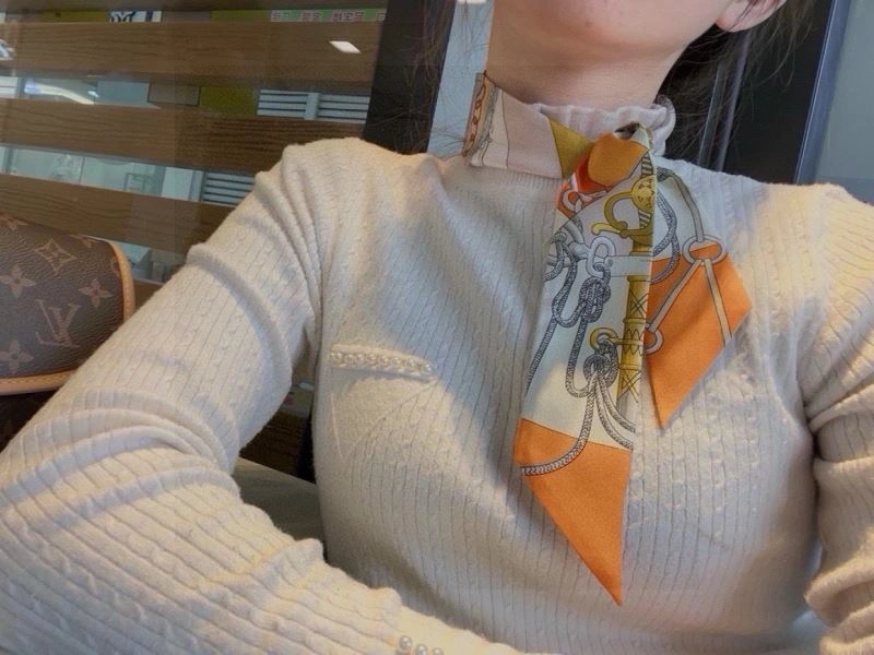 Hermes Silk