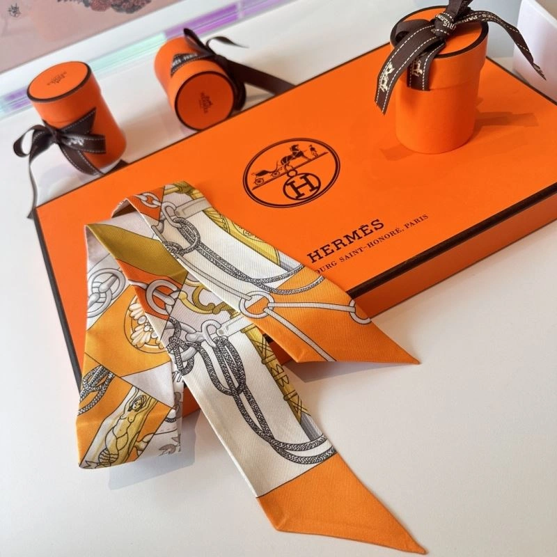 Discounted Hermes Silk