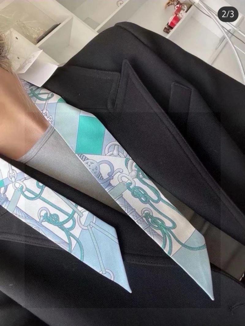Hermes Silk