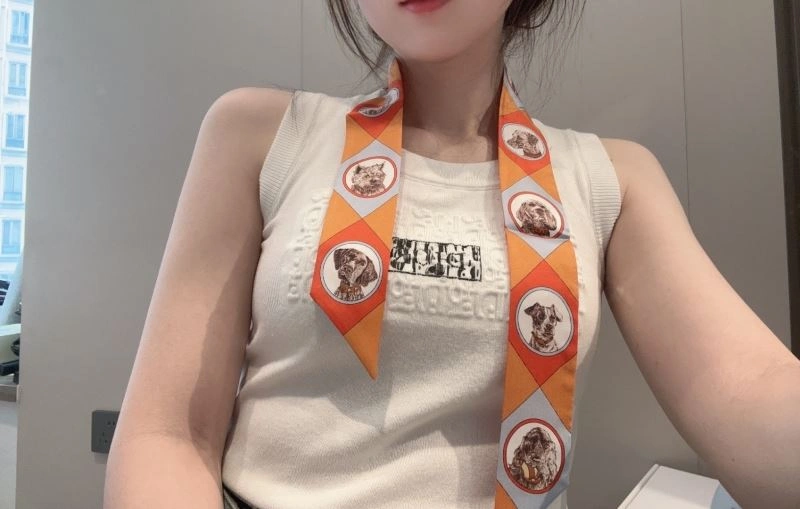 Hermes Silk
