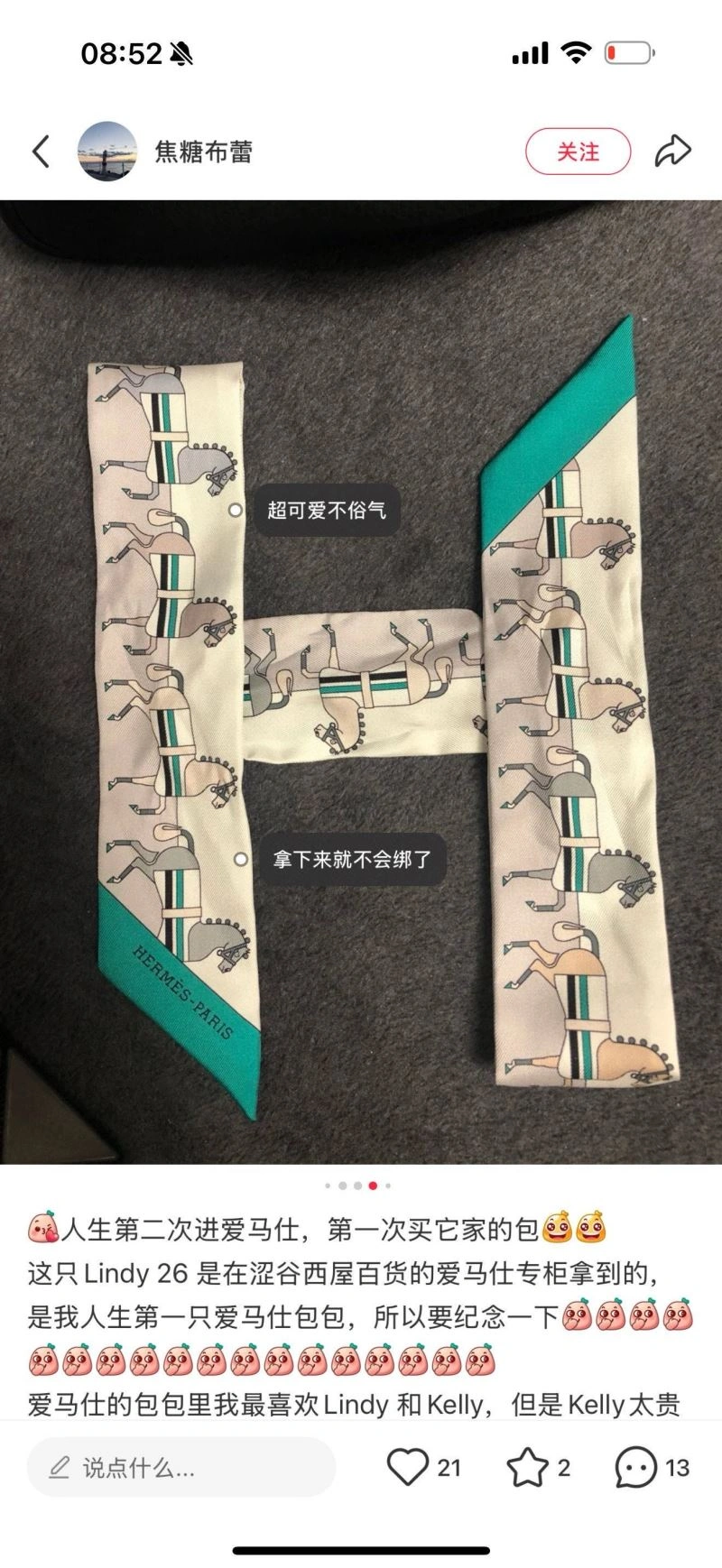 Hermes Silk