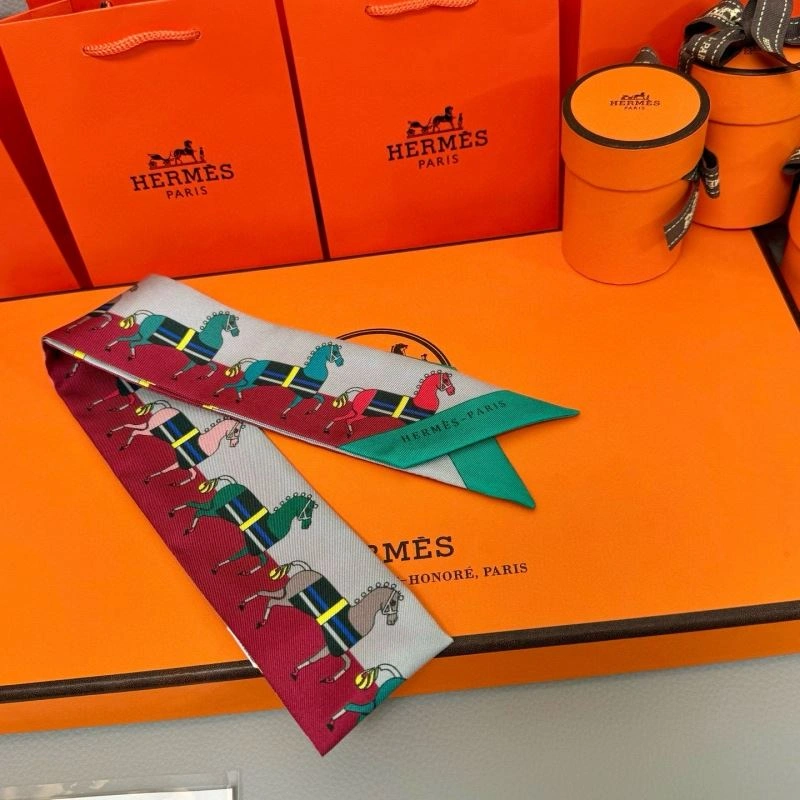 Inexpensive Hermes Silk