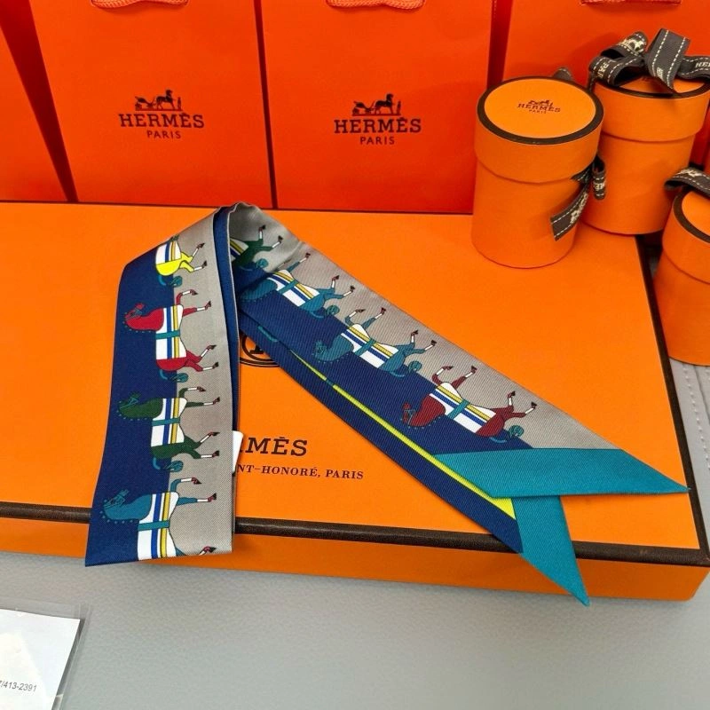 Budget-friendly Hermes Silk