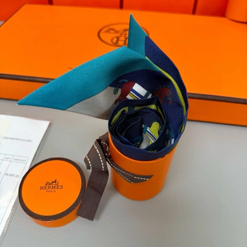 Budget-friendly Hermes Silk
