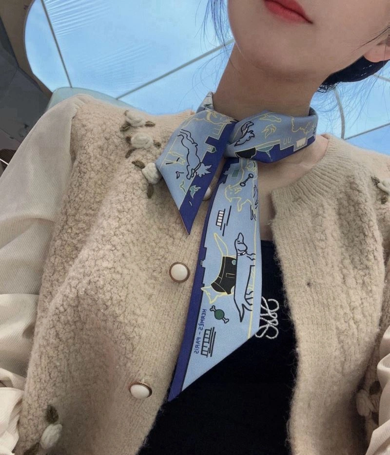 Hermes Silk