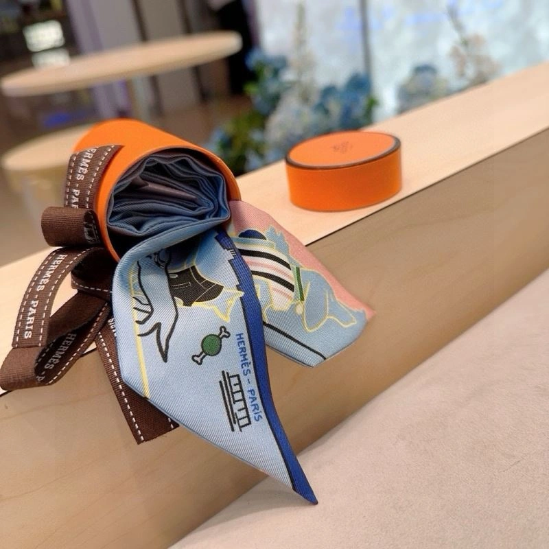 Cut-rate Hermes Silk