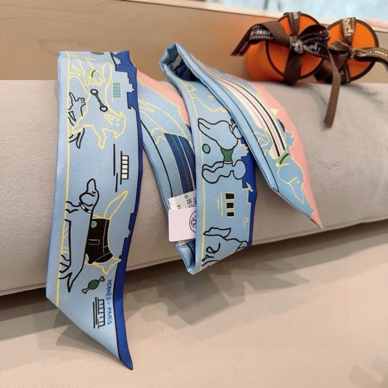 Cut-rate Hermes Silk