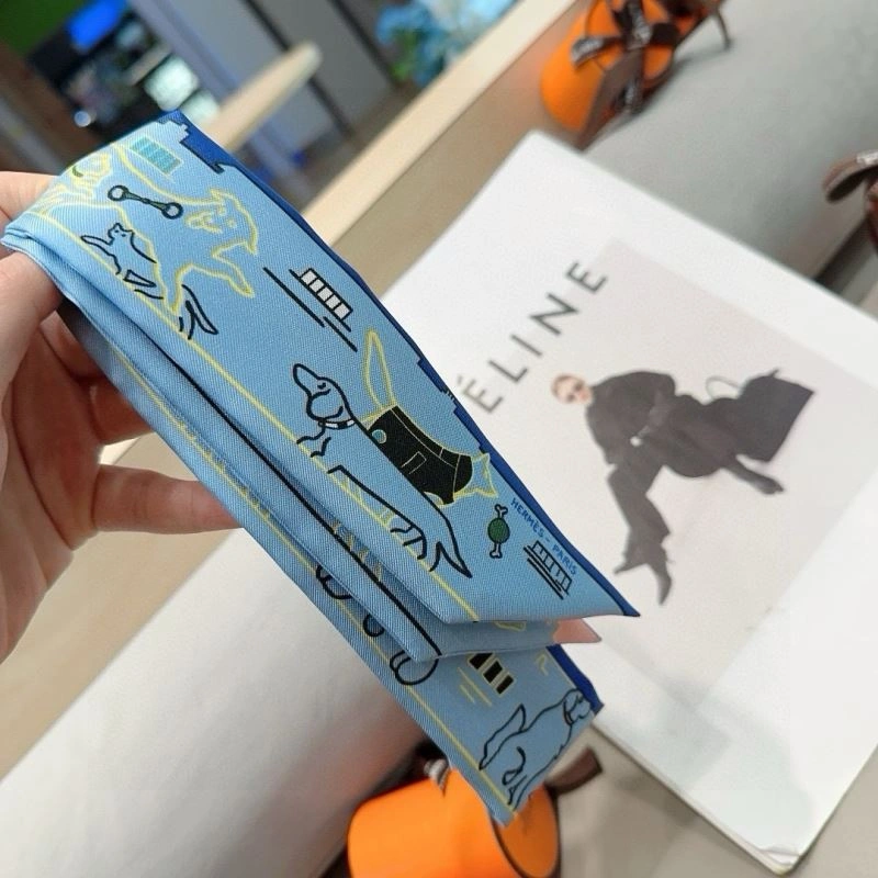 Cut-rate Hermes Silk