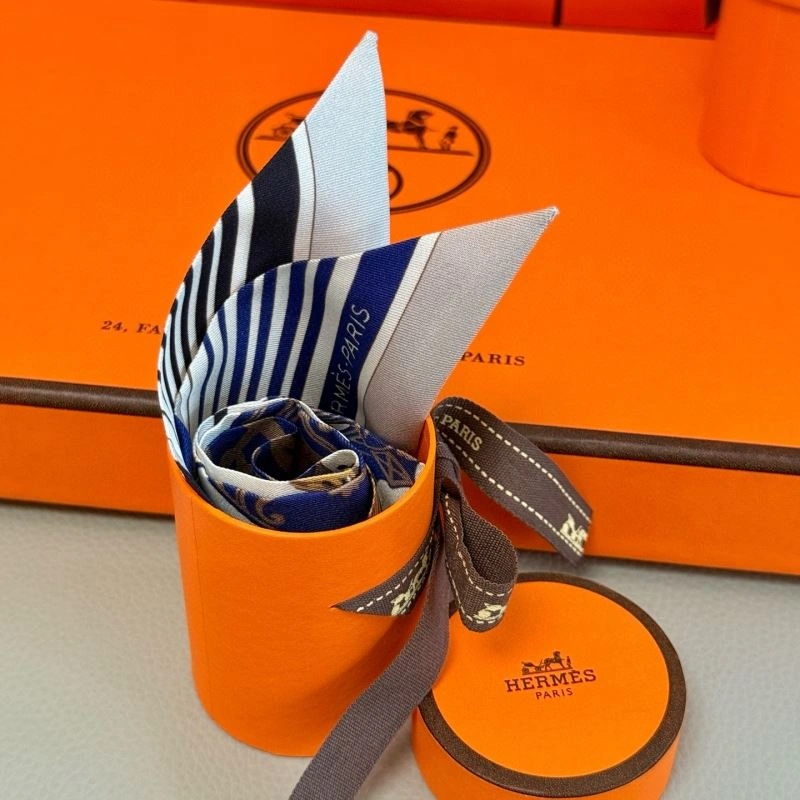 Official Hermes Silk