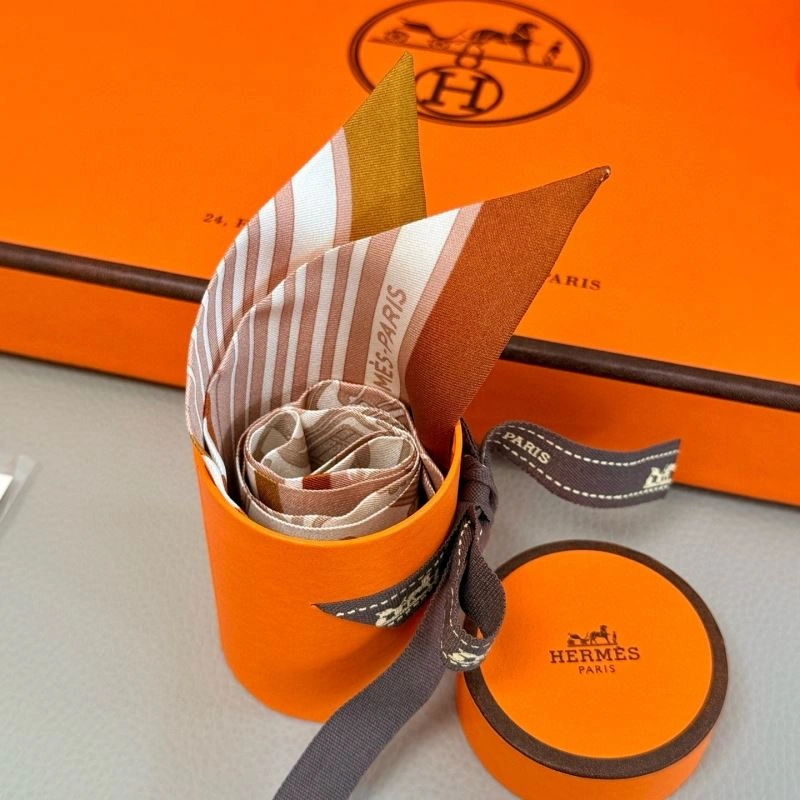 Legit Hermes Silk